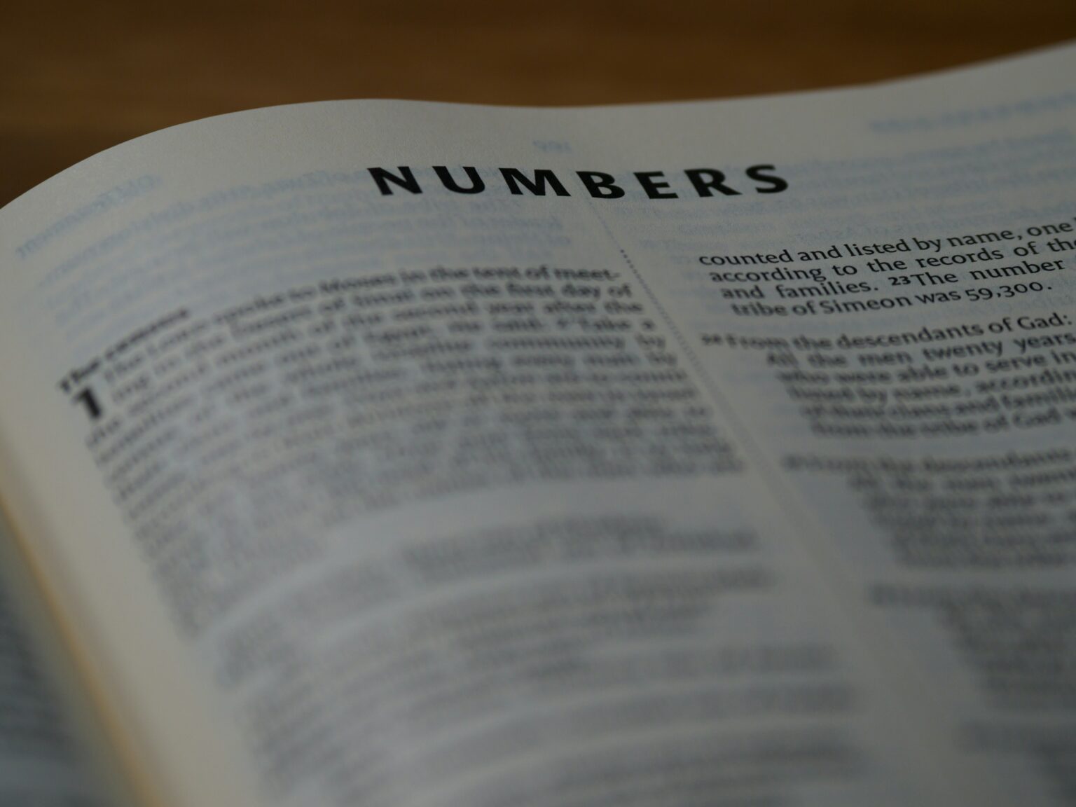 Numeracy, Why is it Important? – Melissa's Education Portfolio